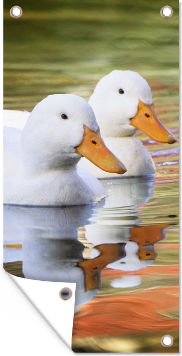 Décoration murale extérieure Canards - Water - Reflet - Famille ...