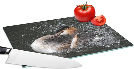 Glazen Snijplank - 28x20 - Fuut land in het water - Snijplanken Glas ...