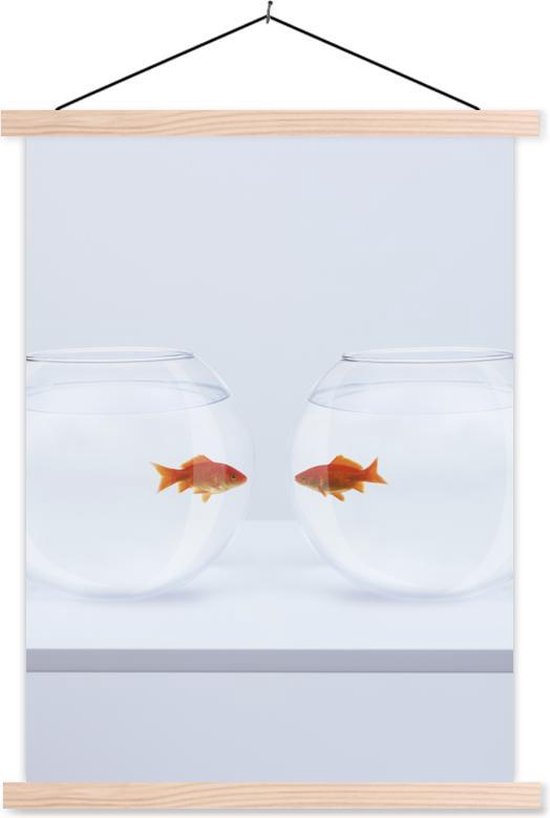 Deux poissons rouges dans des bols à poissons séparés sur fond blanc ...