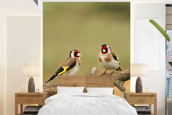Behang - Fotobehang Twee putters op een boomtak - Breedte 190 cm x ...