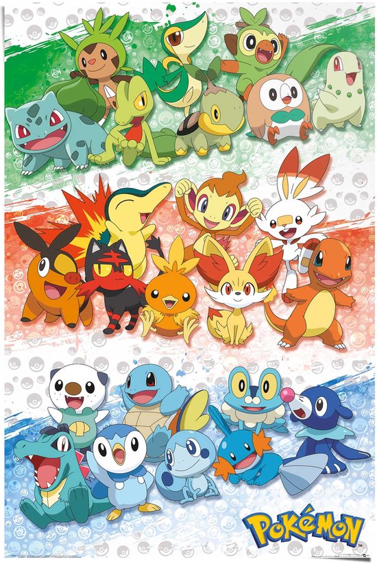 Poster Cartoons en Karakters Pokemon en zijn vrienden 91,5x61 cm ...