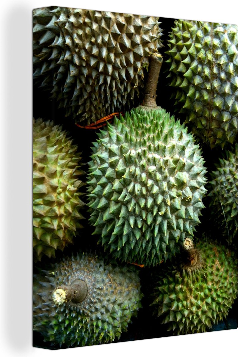 Canvas Schilderij De uniformiteit van de unieke doerian vrucht - 30x40 ...