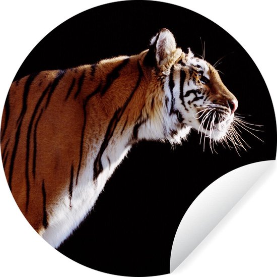 WallCircle - Muurstickers - Behangcirkel - Tijger - Zwart - Detail - 100x100 cm -... | bol.com