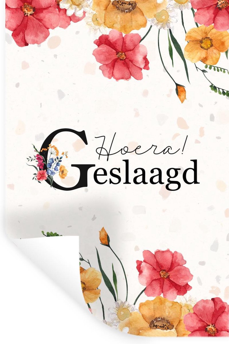 Stickers muraux - Sticker Feuille - Fête - 'Hourra Réussi' - Proverbes ...