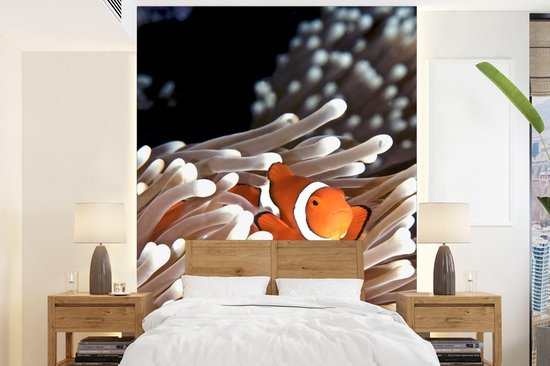 Behang - Fotobehang Vis - Anemoon - Oranje - Breedte 160 cm x hoogte ...