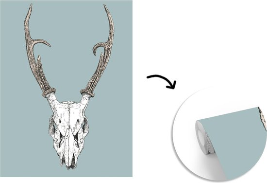 Behang - Fotobehang Schedel - Hert - Blauw - Breedte 160 cm x hoogte ...