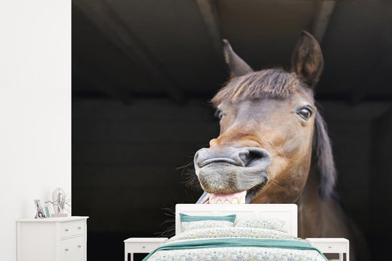 Behang - Fotobehang Paard - Grappig - Stal - Kinderen - Jongens ...