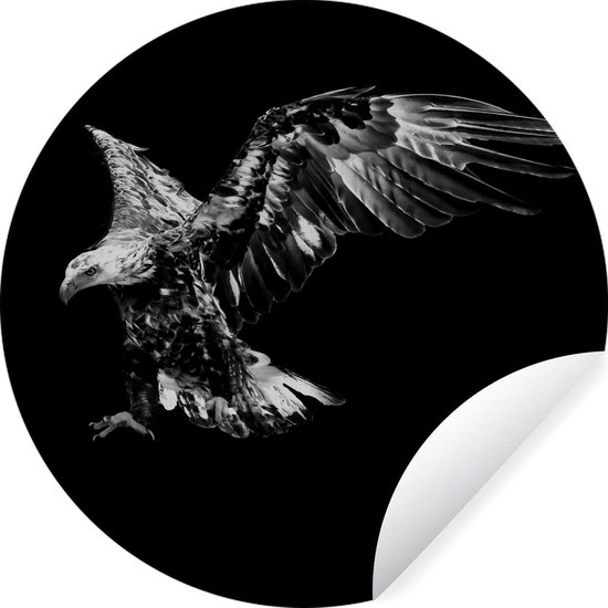 WallCircle - Muurstickers - Behangcirkel - Adelaar - Vogel - Zwart - zwart wit -... | bol