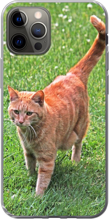 Telefoonhoesje Geschikt voor iPhone 13 Pro hoesje - Kat - Rood - Kater ...
