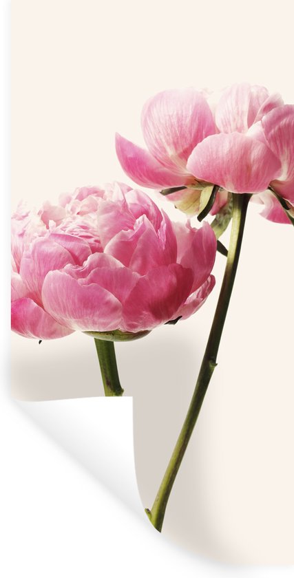 Muurstickers - Sticker Folie - Bloemen - Bloesem - Roze - 60x120 cm - Plakfolie -... | bol