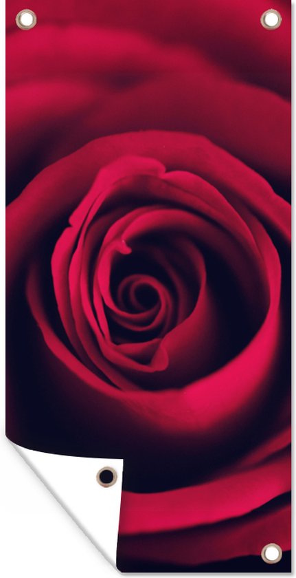 Poster de jardin Roses - Rouge - Détail - 40x80 cm - Décoration murale ...