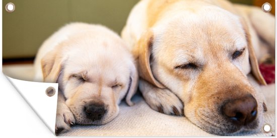 Schuttingposter Slapende hond met pup - 200x100 cm - Tuindoek | bol.com