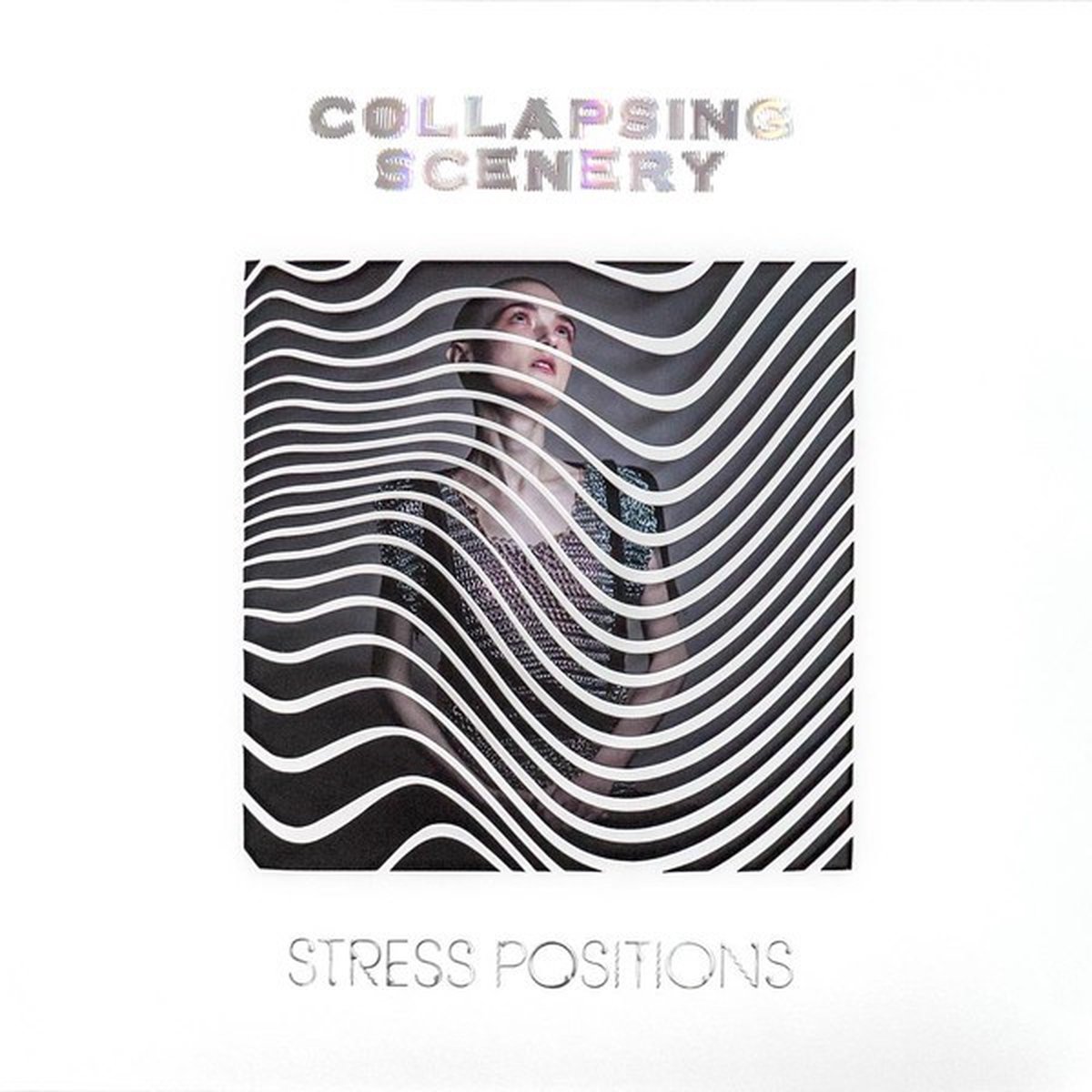 Collapsing Scenery - Stress Positions (2 LP), Collapsing Scenery | LP ...