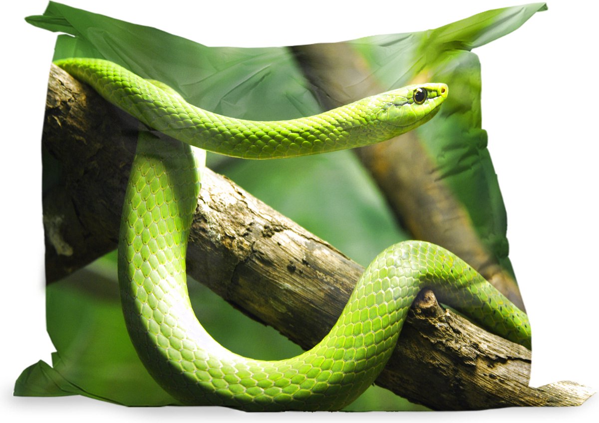 PillowMonkey zitzak - Een groene mamba in een boom in Brazilië ...
