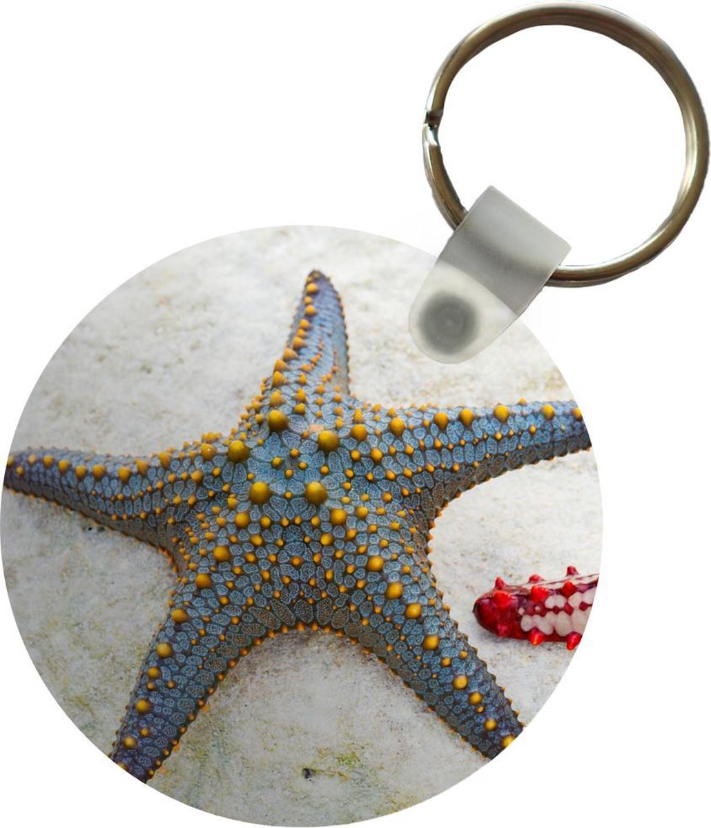 Sleutelhanger - Zeester - Zee - Dieren - Plastic - Rond ...