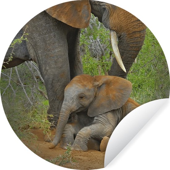 WallCircle - Muurstickers - Behangcirkel - Olifant - Dieren - Zand - Natuur - 100x100... | bol.com