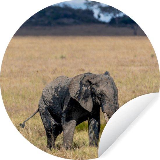 WallCircle - Muurstickers - Behangcirkel - Olifant - Gras - Dieren - Natuur - 100x100... | bol