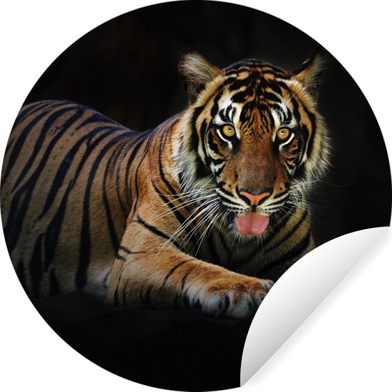 WallCircle - Muurstickers - Behangcirkel - Tijger - Zwart - Rust - 100x100 cm -... | bol