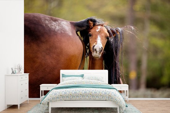 Behang - Fotobehang Paarden - Natuur - Bruin - Breedte 330 cm x hoogte ...