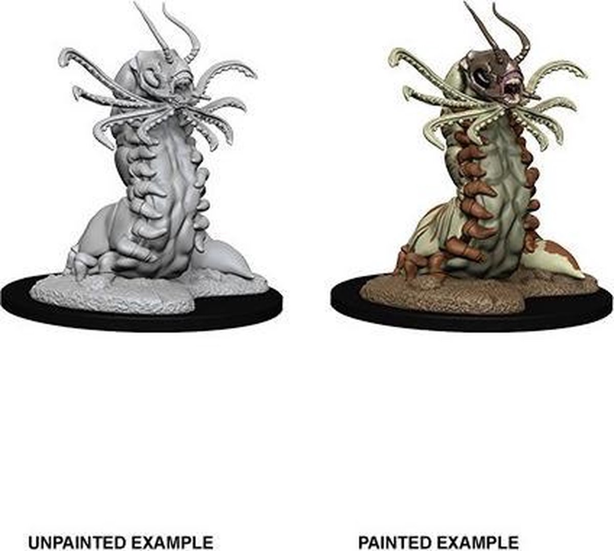 Dungeons and Dragons: Nolzur's Marvelous Miniatures - Carrion Crawler ...