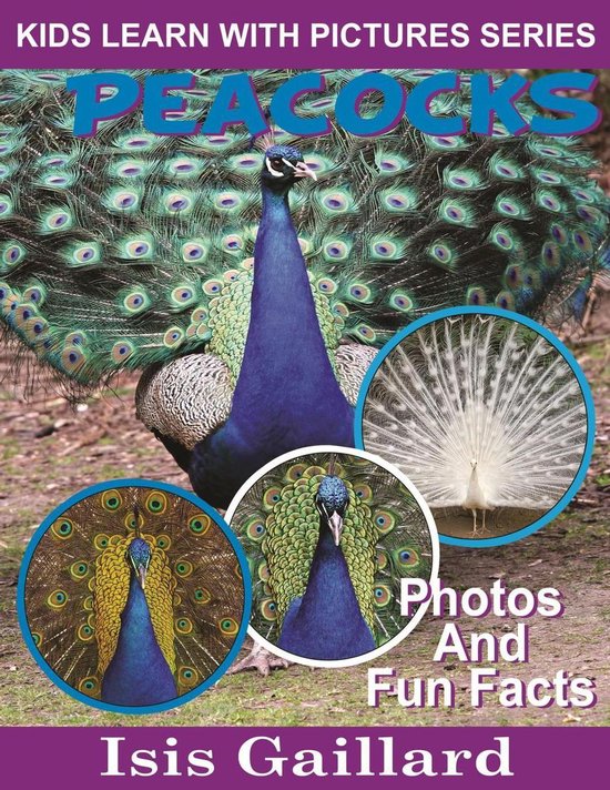 Kids Learn With Pictures 19 - Peacocks Photos and Fun Facts for Kids ...