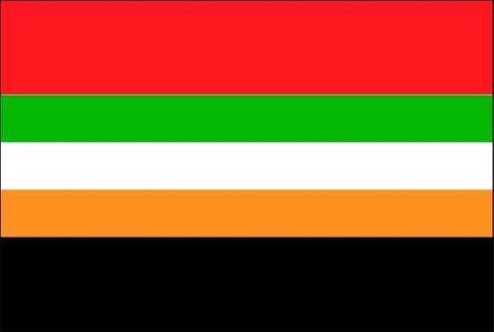 Vlag gemeente Edam-Volendam 100x150 cm | bol.com