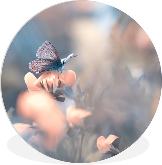 WallCircle - Wandcirkel 60x60 - Bloemen - Vlinder - Natuur - Botanisch - Ronde... | bol