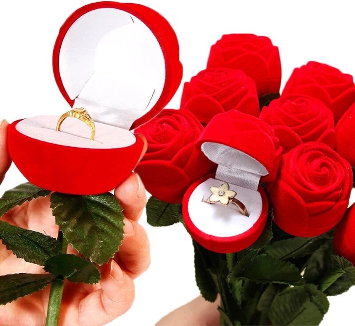 Roos - aanzoek met ring - Verassing - verloving - cadeau - trouwen ...