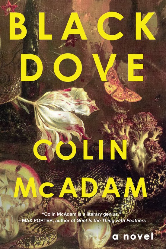Black Dove, Colin Mcadam | 9781641295338 | Boeken | bol