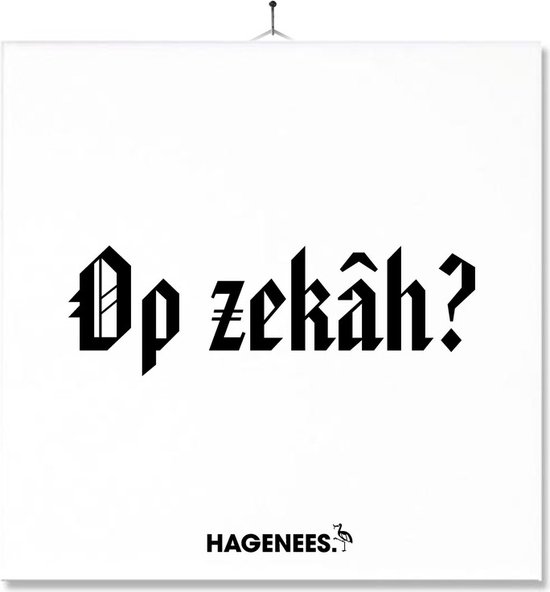 Tegel Met Opdruk | Haagse tekst | bol