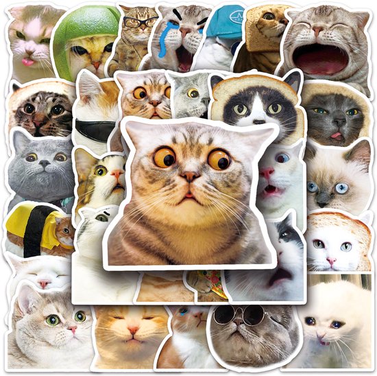 Grappige Katten Stickers - Cat Meme katten sticker set - 50 stuks - Voor laptop,... | bol