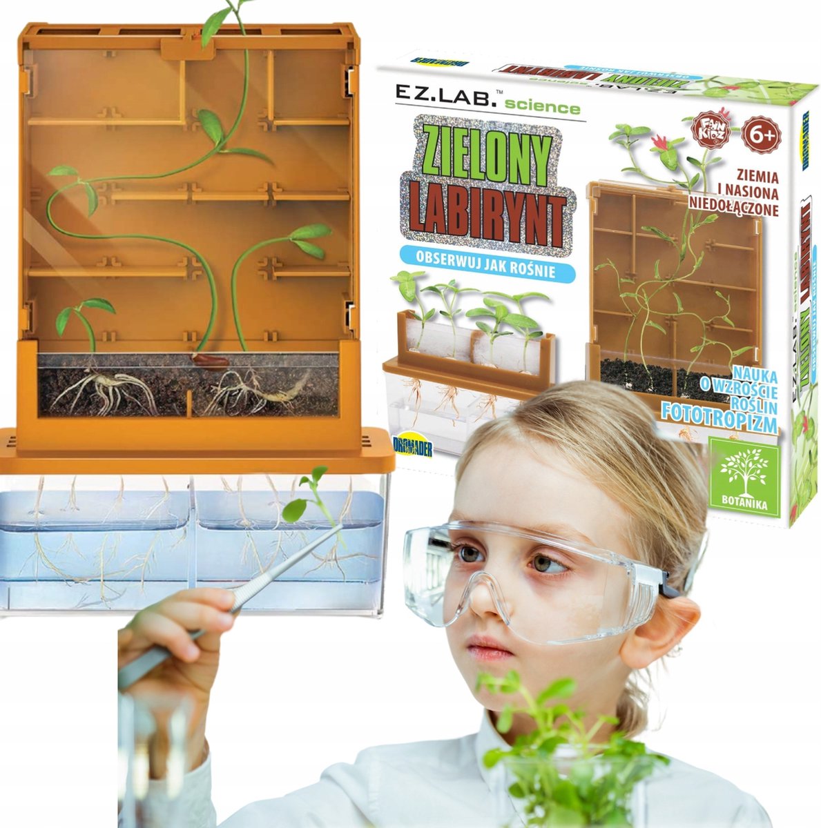 Observeerstation Planten - Groen Doolhof - Planten Doolhof - Educatief ...