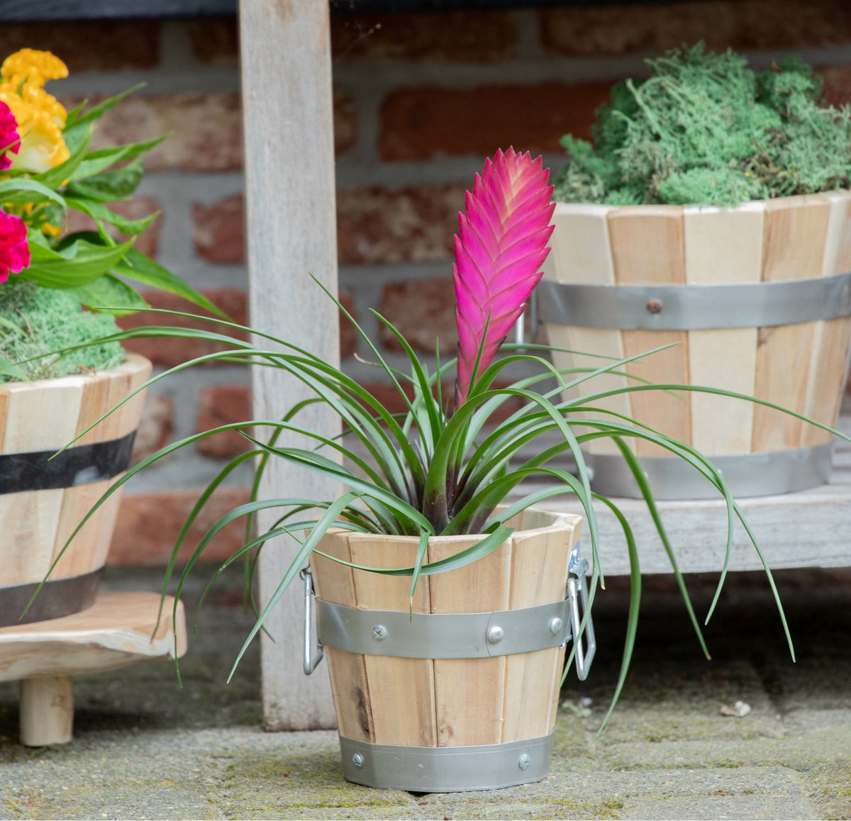Mega Collections Plantenbak/bloempot - Barrel - hout - hendels - D15 x ...