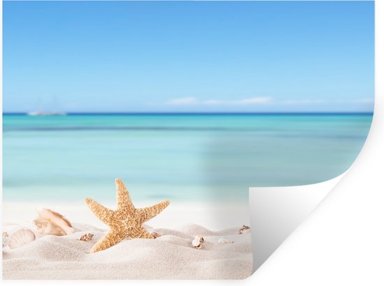 Muurstickers - Sticker Folie - Strand - Zee - Schelpen - Zeester ...
