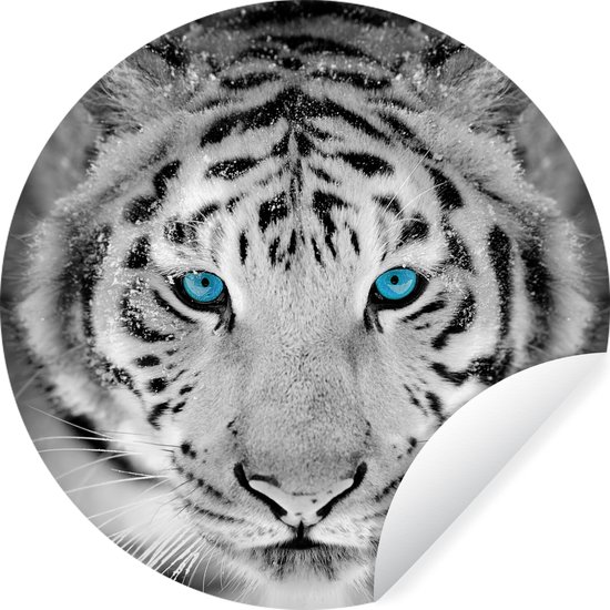 WallCircle - Muurstickers - Behangcirkel - Tijger - Winter - Dieren - 80x80 cm -... | bol