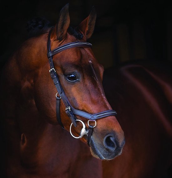 Rambo Micklem Deluxe Competition - maat Cob - dark havanna | bol.com