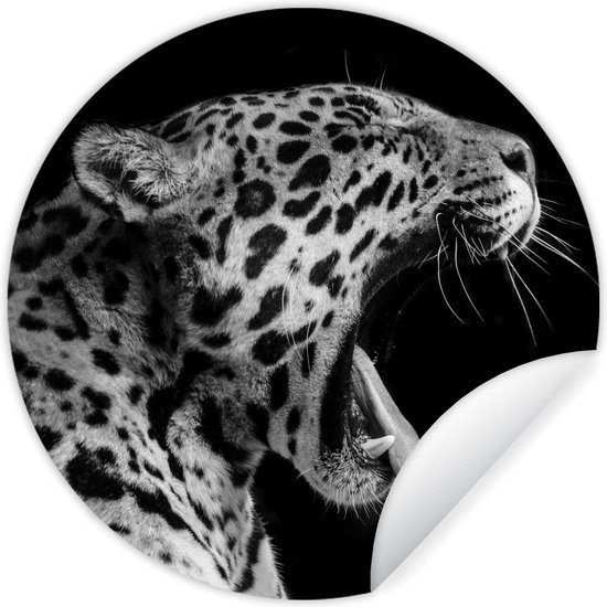 WallCircle - Muurstickers - Behangcirkel - Jaguar - Dier - Zwart - Wit - 100x100 cm -... | bol