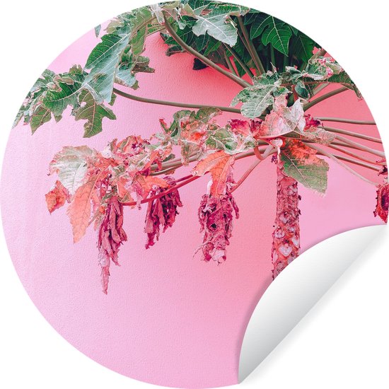 WallCircle - Muurstickers - Behangcirkel - Palmboom - Tropisch - Roze - Zomer -... | bol.com