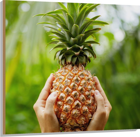 Hout - Verse tropische Ananas in Mensenhanden - 100x100 cm - 9 mm dik ...
