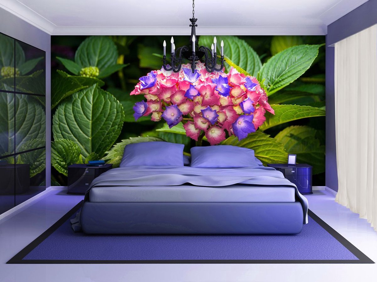 Fotobehang - Vlies Behang - Roze en Paarse Hortensia - Bloemen - 208 x ...