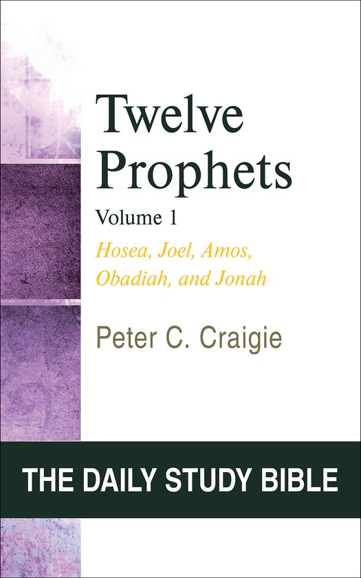 Twelve Prophets, Peter Craigie | 9780664245771 | Boeken | bol