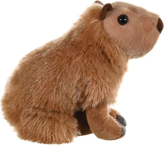 Cadeau Tip - Capibara Knuffel 30cm - Capybara Knuffel - Capybara Pluche ...