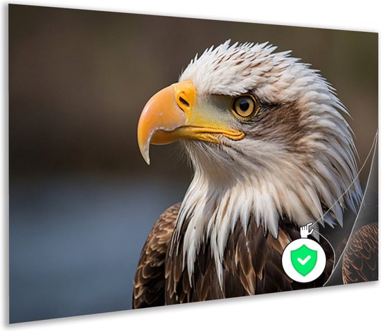 Adelaar poster - Dieren poster - Posters Ogen - Wanddecoratie ...