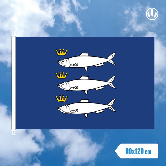 Vlag Scheveningen 80x120cm | bol