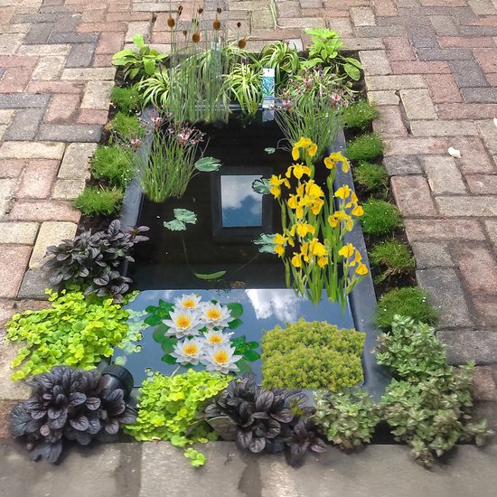 vdvelde.com - Vijverbak Rechthoek - Vijver 500 Liter - Wit - Vijver 78 ...