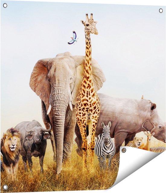 Gards Tuinposter Afrikaanse Dieren op het Gras - Afrika - 70x70 cm ...