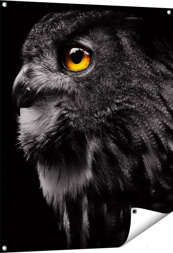 Gards Tuinposter Zwarte Uil met Gouden Ogen - 80x100 cm - Tuindoek ...