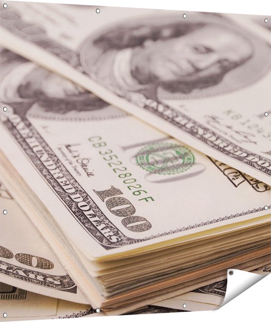 Gards Tuinposter Dollar Geld Briefjes - 120x120 cm - Tuindoek ...