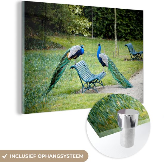 MuchoWow® Glasschilderij 60x40 cm - Schilderij acrylglas - Pauw - Bank - Park - Foto... | bol