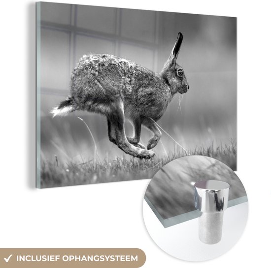 MuchoWow® Glasschilderij 150x100 cm - Schilderij acrylglas - Een rennende haas - zwart... | bol